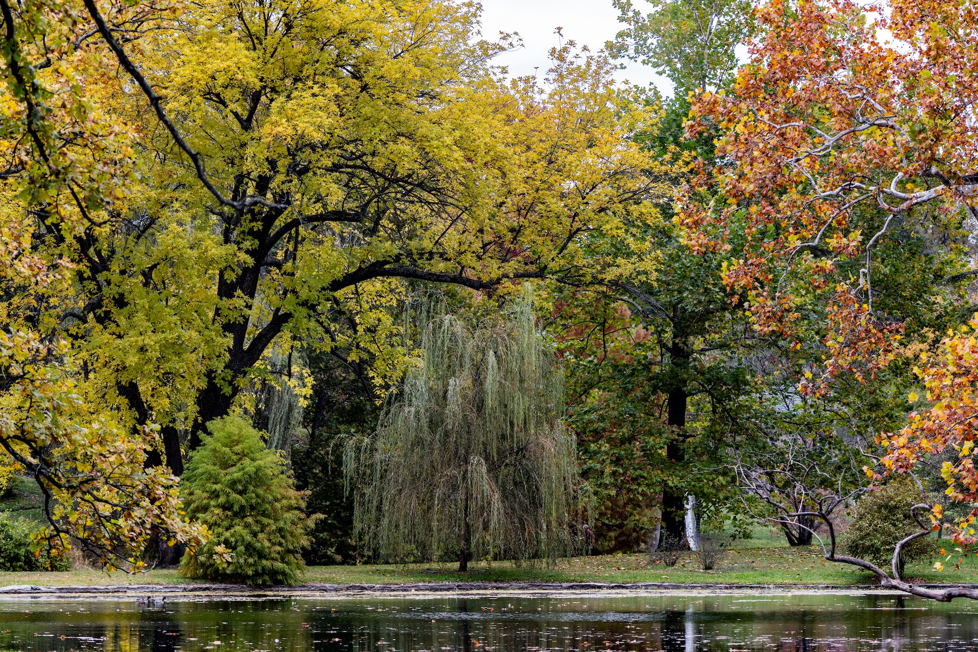 [PHOTOS] Fall Colors Transform Cincinnati’s Spring Grove Cemetery ...