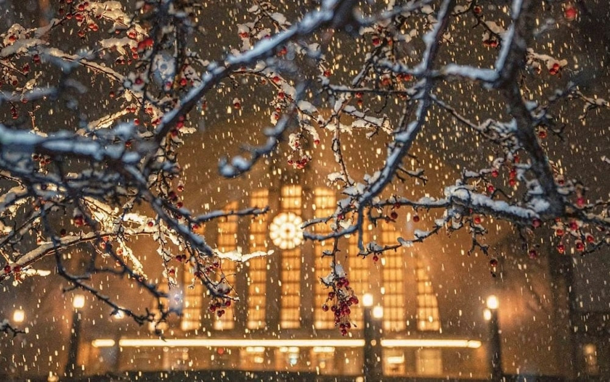 Celebrate the Winter Solstice at the Cincinnati Museum Center's Festive ...